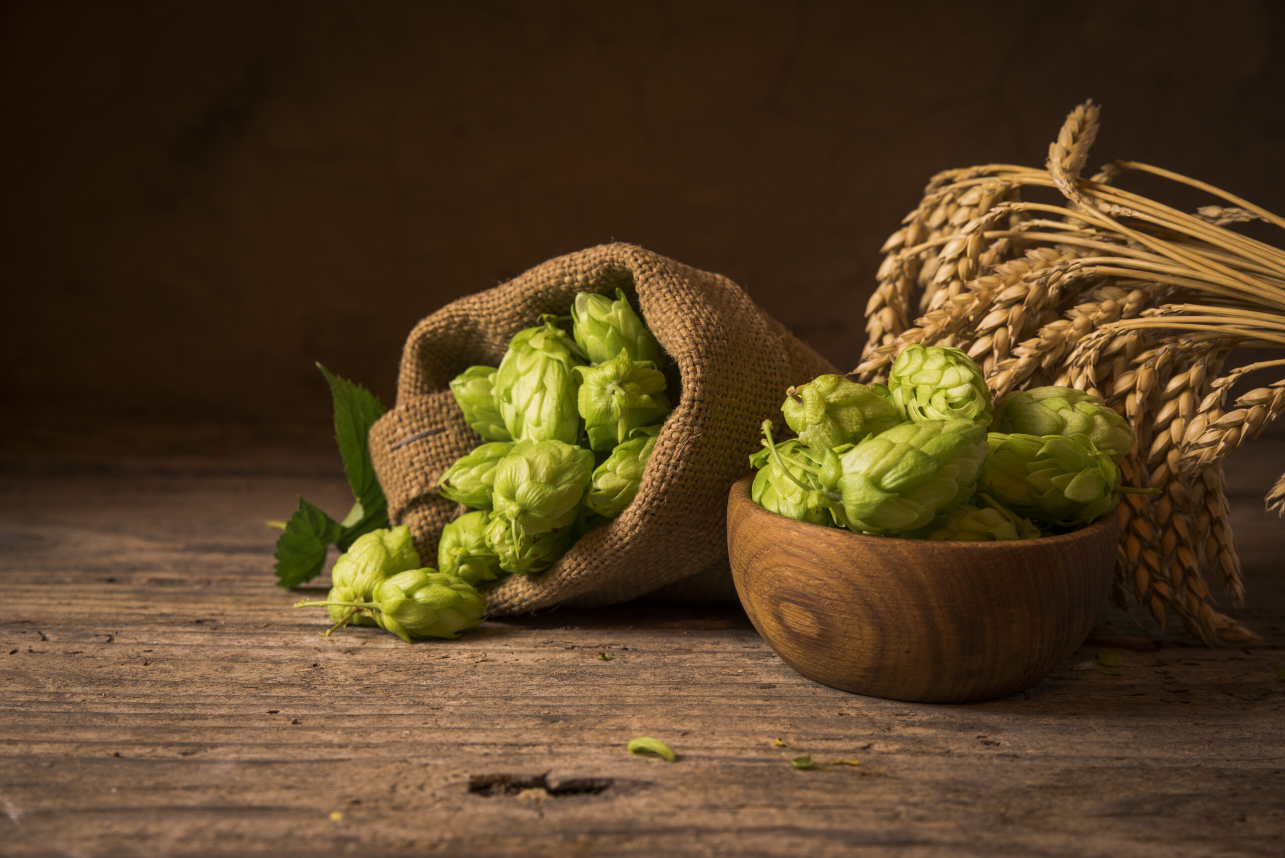 Sovereign Hops Unveiled: Ideal Brew Styles for This Regal Bitter ...