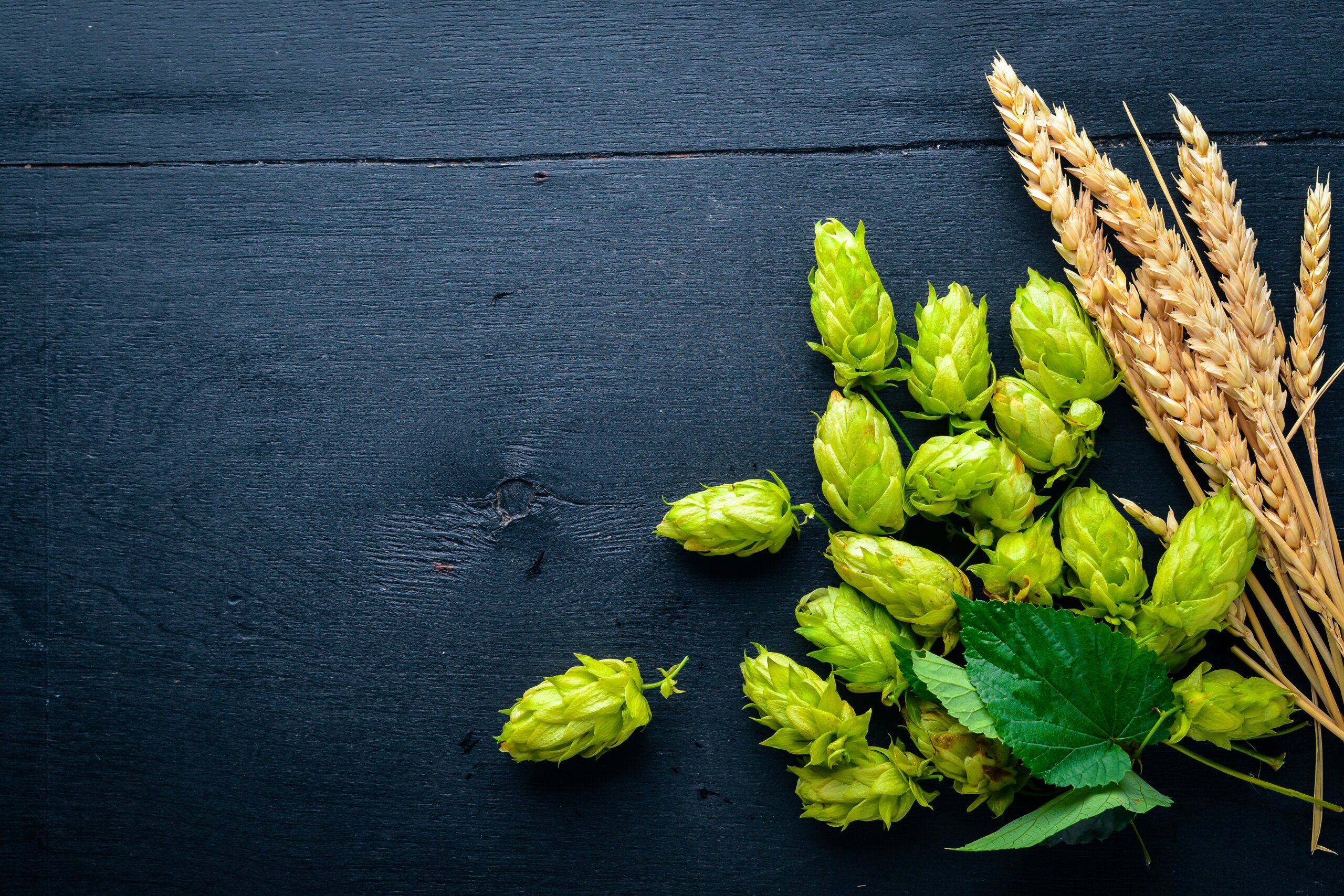 Hops Properties - Battling Inflammation: The Ale-ternative Anti-Swell ...
