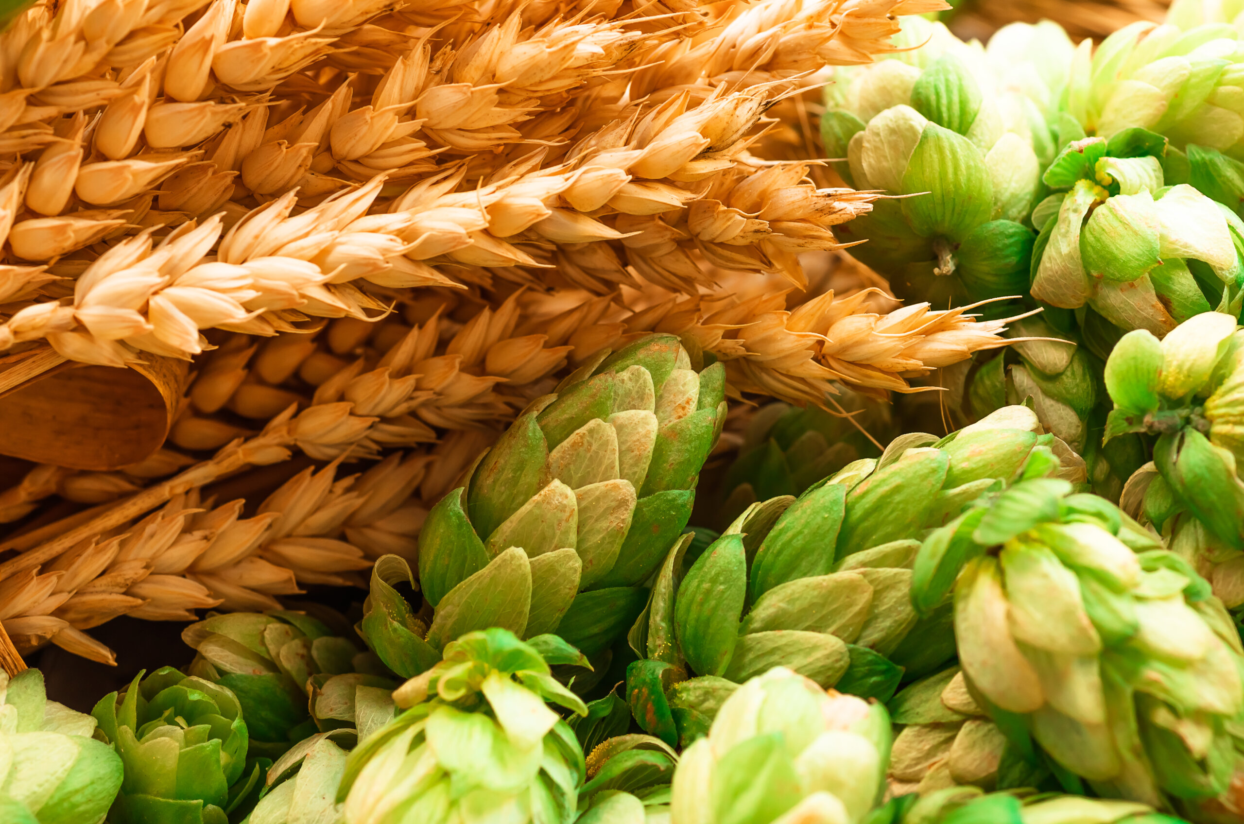 Beer Glossary - Kilning: The Toasty Tango of Malt Mixology – Hopsmatcher